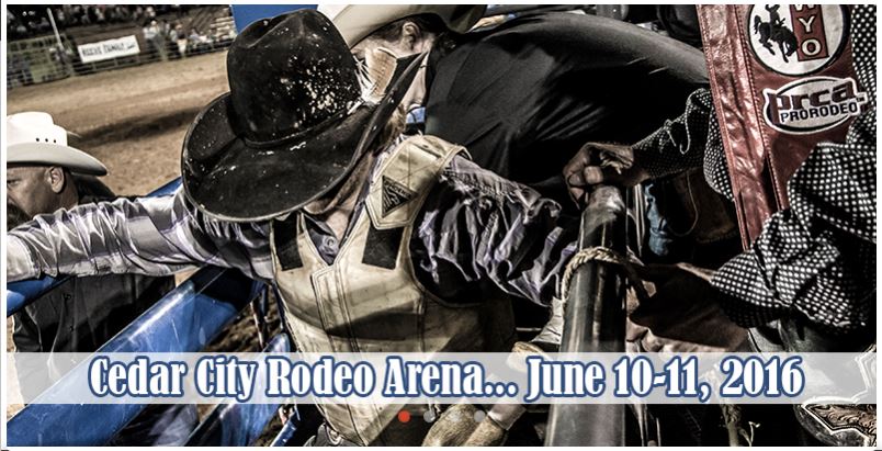 It’s Rodeo Time! | Diamond G